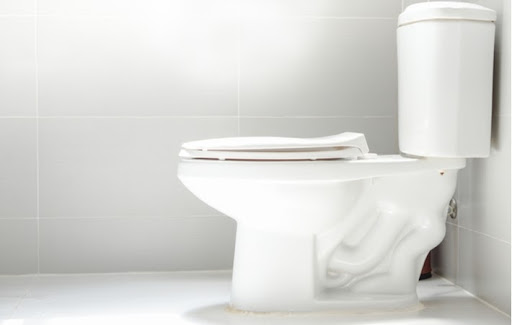 How to Choose the Best Toilet for You | Calgary